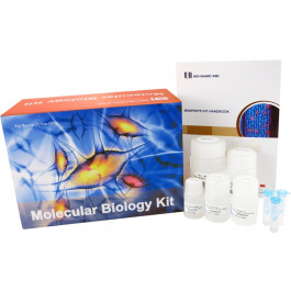 BIO BASIC BS363 EZ-10 Spin Column PCR Products Purification Kit, 50prep ...